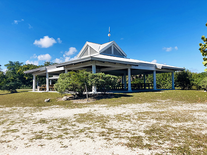 This airy shelter stands ready for gatherings where memories are made against a backdrop of swaying palms and gentle breezes.