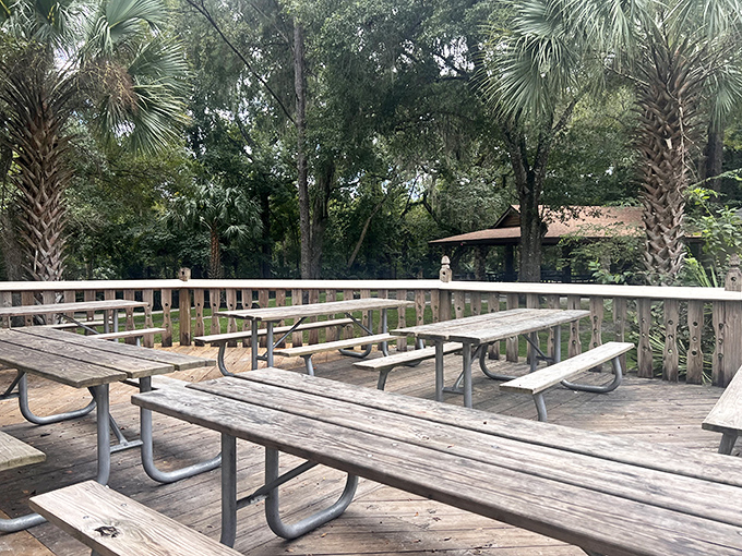 Picnic tables await hungry adventurers after their aquatic journey. Nothing tastes better than sandwiches eaten in the dappled shade after working up an appetite doing absolutely nothing.