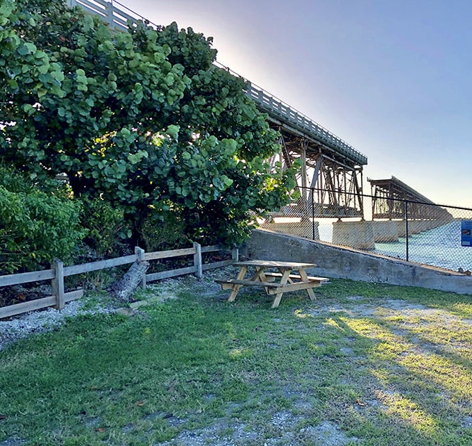 Lunch with a side of spectacular: This picnic spot comes with the kind of view that makes sandwiches taste inexplicably better and conversations more meaningful.