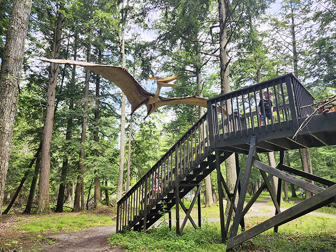 The pteranodon observation deck lets visitors experience the thrill of prehistoric flight without leaving the safety of the stairs.