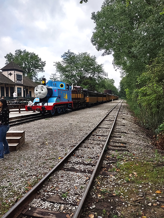The tracks stretch into the distance, promising adventures that don't require WiFi, batteries, or software updates &ndash; just imagination and curiosity.