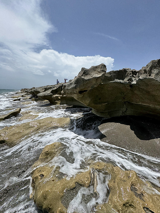 The tide retreats, revealing a temporary pathway through formations that will disappear again with the ocean's return.