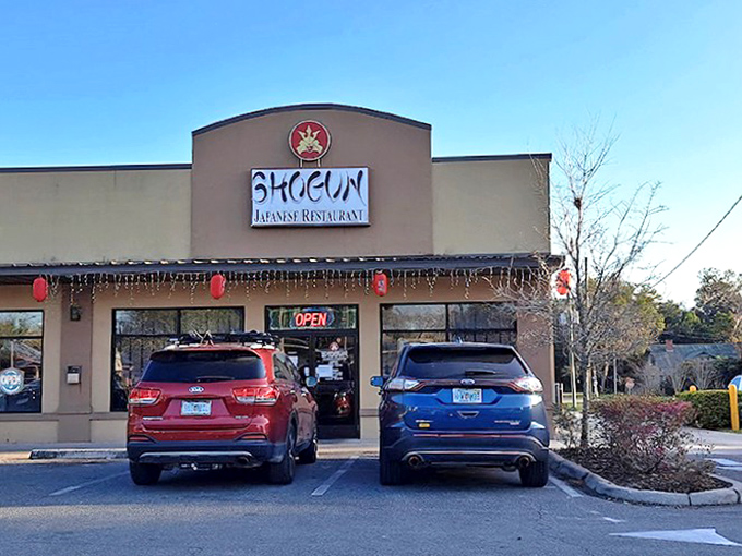 Shogun Japanese Restaurant brings international flavors to small-town Florida, proving Williston's surprising culinary diversity.