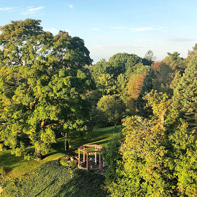 Nature's Embrace: The castle grounds extend into lush greenery, where mature trees create a natural sanctuary around this historic gem.