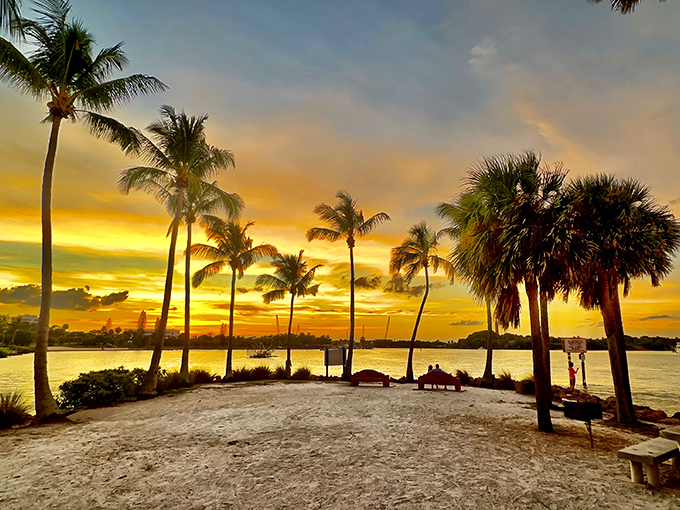 Sunset transforms the park into nature's light show, painting the sky with colors that make even smartphone cameras seem inadequate.