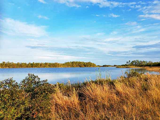Morning mist dances across Fakahatchee's waters, where the boundary between sky and lake becomes poetry in blue.