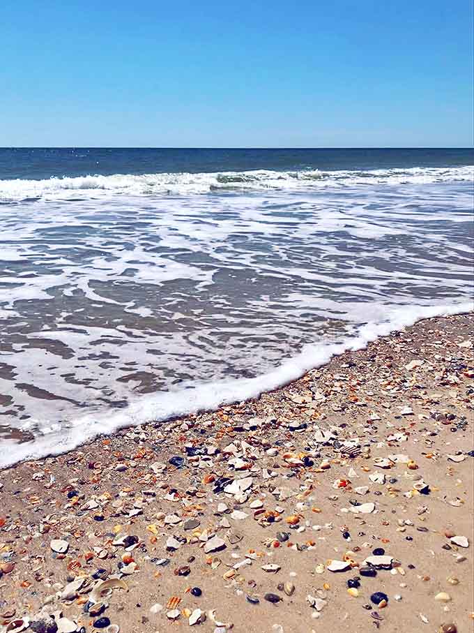 Where the Gulf meets the shore, waves deposit treasures and take away footprints, maintaining the beach's pristine appearance better than any cleaning crew could.