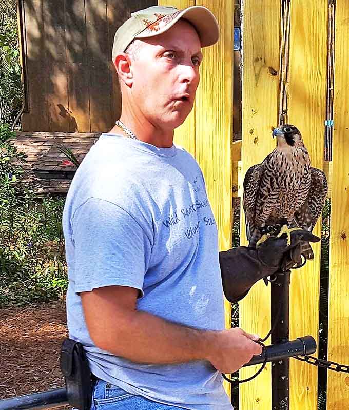 Dedicated staff sharing their passion for raptors, making conservation education feel less like a lecture and more like storytelling.