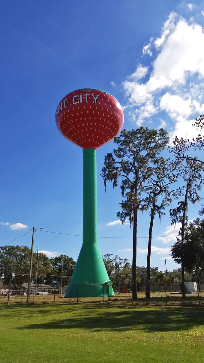 Local sports teams play in the shadow of this berry behemoth, perhaps drawing inspiration from its larger-than-life presence.