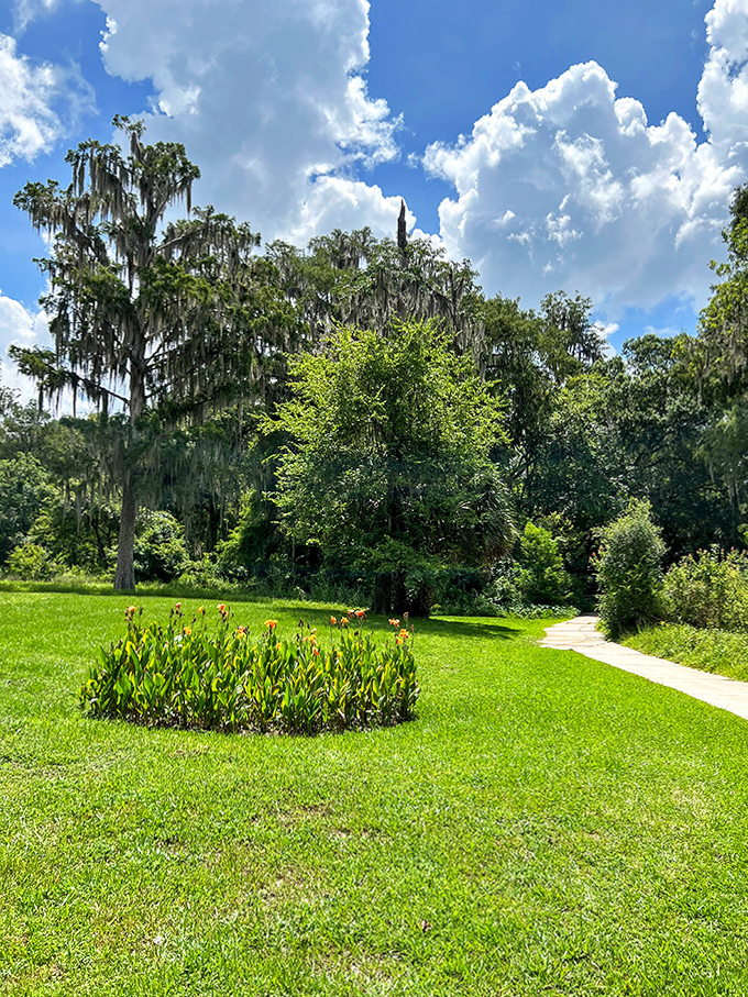 A perfect slice of sunshine-dappled greenery where butterflies conduct business meetings and birds hold impromptu concerts.