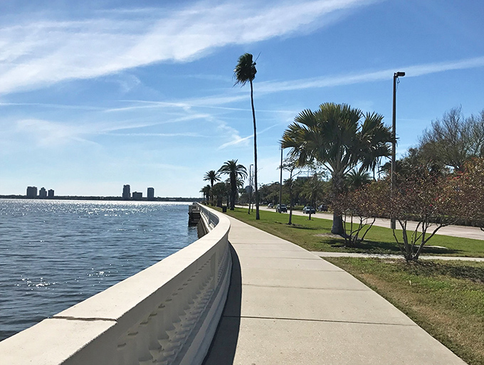 Palm trees stand like exclamation points along Bayshore's grassy median, their fronds waving welcome to visitors exploring Tampa's waterfront treasure.