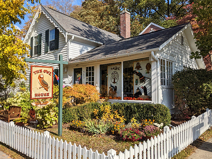 The Owl House isn't just a gift shop &ndash; it's a treasure trove of whimsy where you'll find the perfect something you never knew you needed.