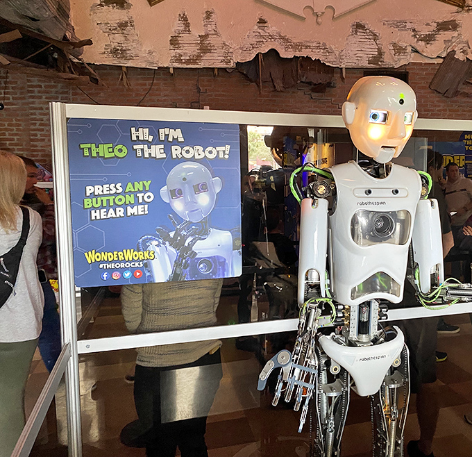 Meet Theo the Robot, whose artificial intelligence and charming personality make you momentarily forget the impending robot uprising he's definitely planning.