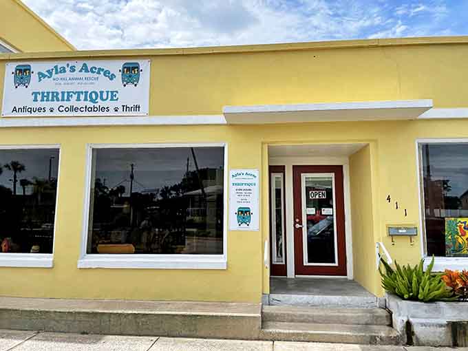 The welcoming storefront promises adventure within its walls, the "Thriftique" sign a clever nod to the elevated thrifting experience awaiting shoppers.