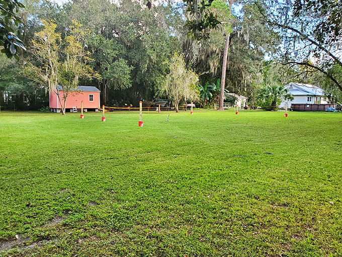 The town park offers a green respite where visitors can catch their breath between treasure hunts in Micanopy's famed antique shops.
