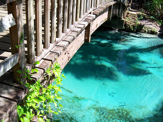 The perfect vantage point for water so blue it makes the Caribbean look like it needs to try harder.