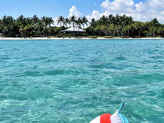 Tropical Postcard: Palm trees stand sentinel over turquoise waters, creating the backdrop for memories that outlast any souvenir.