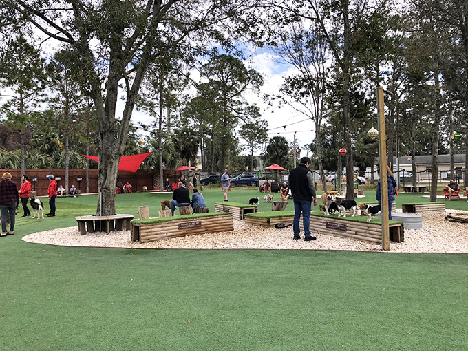 Dogs and their humans mingle in this thoughtfully designed play area, complete with wooden platforms and plenty of space to run.