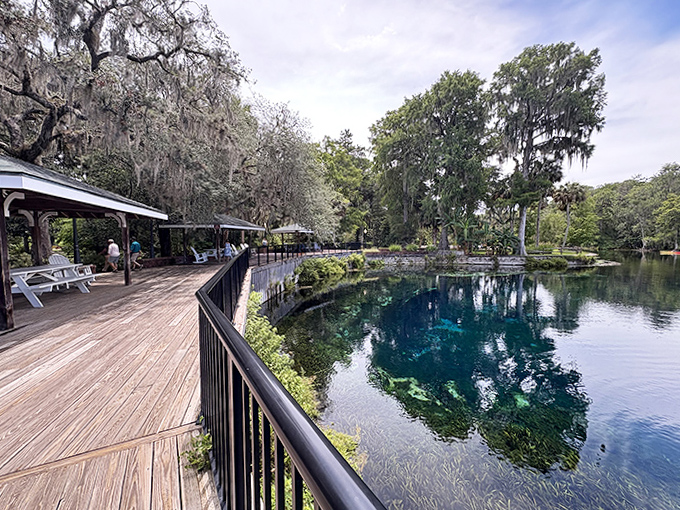 Waterfront walkways invite leisurely strolls with views that make smartphone cameras work overtime.