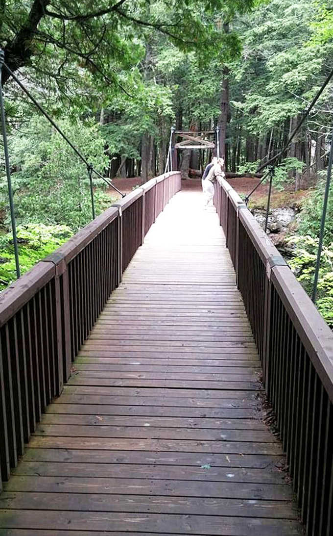 This wooden walkway through the woods is nature's red carpet, inviting you to stroll through greenery like you're somebody important, which you are.