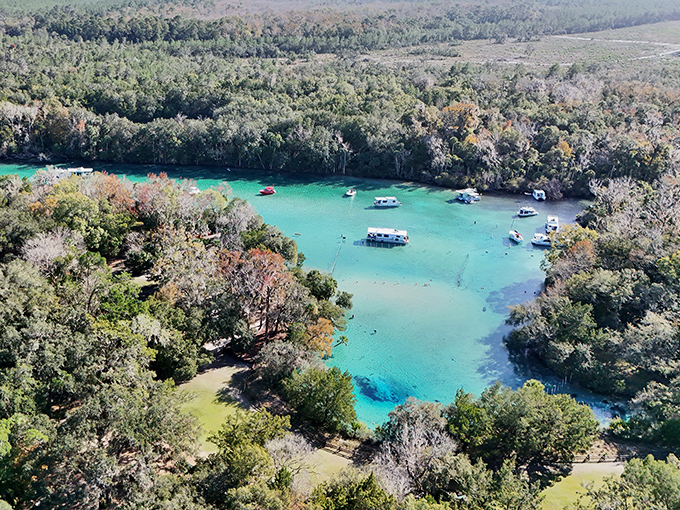 From above, Silver Glen Springs reveals its true splendor &ndash; a turquoise jewel set in an emerald forest crown.