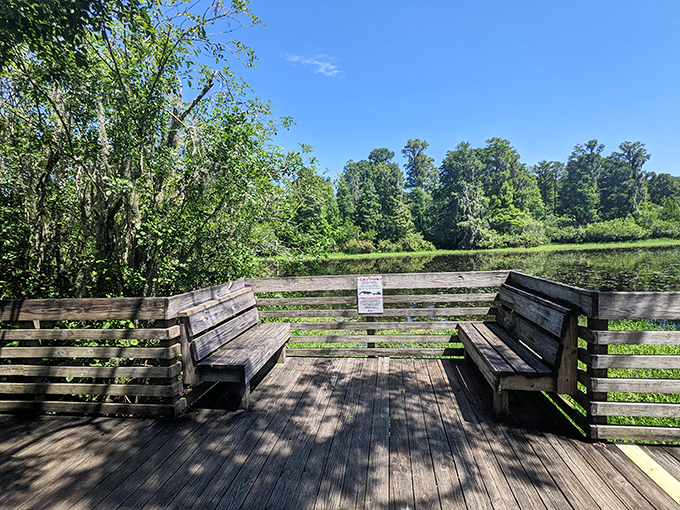 Weathered wooden seats offer peaceful moments of reflection, perfectly positioned for watching the gentle dance of light on water.