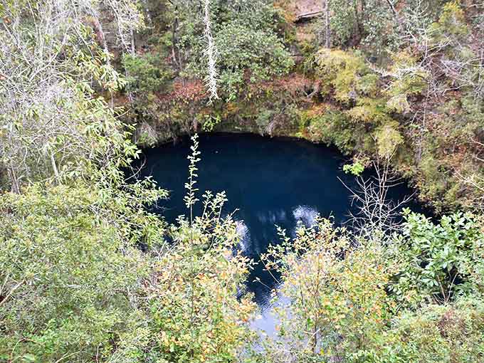 This bird's-eye view reveals a perfect circle of midnight blue, like someone poked a hole in the forest to reveal the sky beneath.