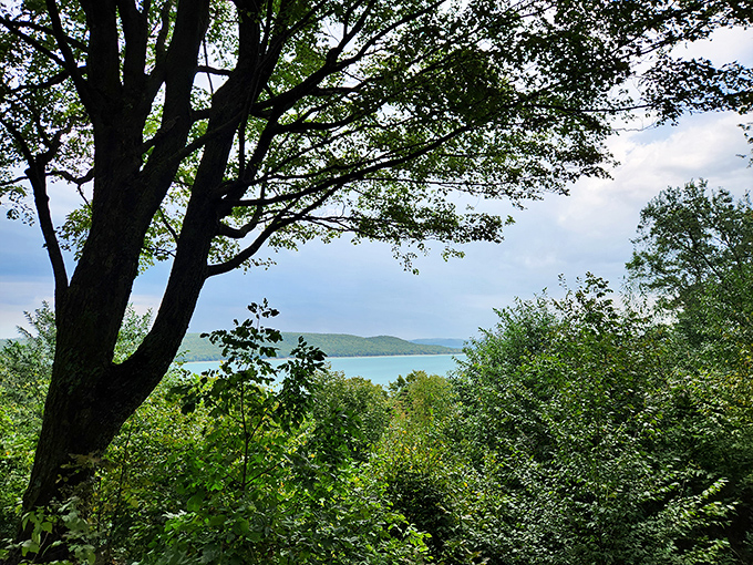 Nature's perfect frame &ndash; where ancient trees meet tranquil waters in a scene worth savoring slowly.