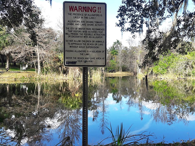 This warning sign serves as a reminder that in Florida, even the most serene waters might house toothy residents.