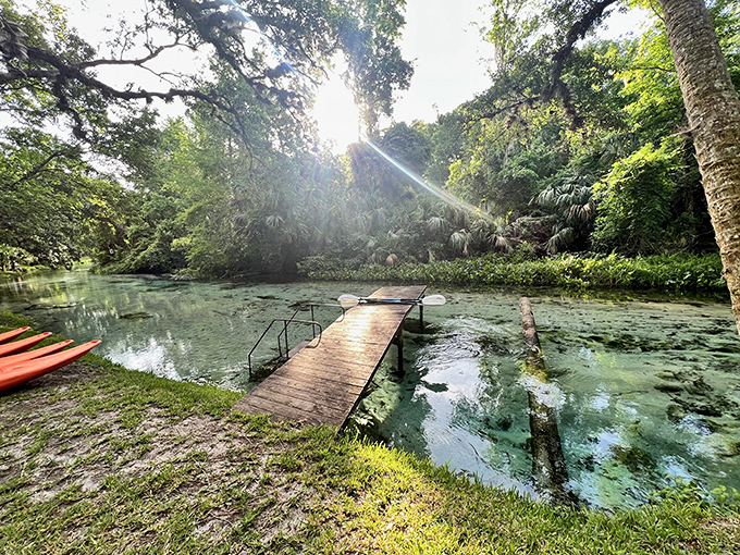 The launching point of countless adventures, this humble dock has witnessed more "wows" than a fireworks display. Your gateway to wilderness.