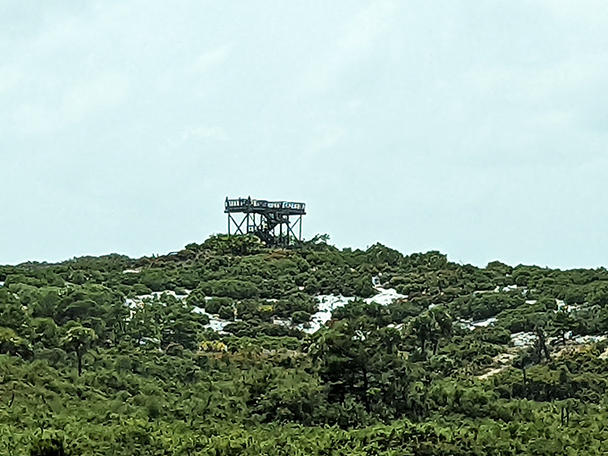 Like a wooden castle crowning nature's kingdom, the tower stands sentinel over a landscape that refuses to be tamed.