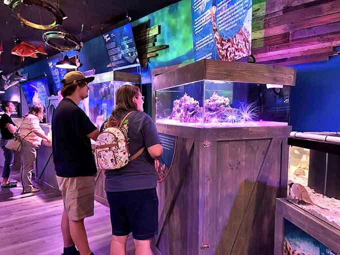 Couples and solo visitors alike find themselves mesmerized by the carefully crafted exhibits, proving that wonder knows no age limit.