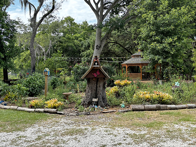 Whimsy takes root at the base of this tree, where tiny doors suggest magical residents might emerge after visitors depart.