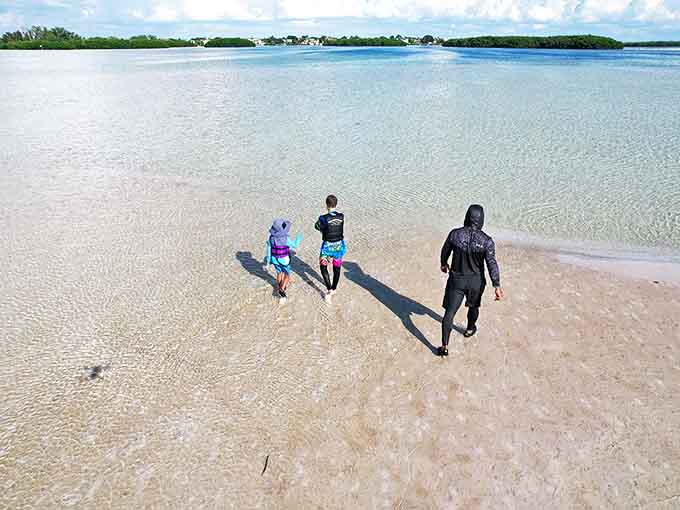 Families wade through Shell Key's crystal shallows, creating memories that will outlast any souvenir from a gift shop.