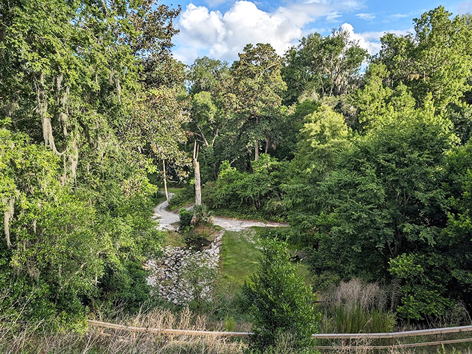 A vista that makes you question whether you're still in Florida or somehow teleported to a fantasy novel.