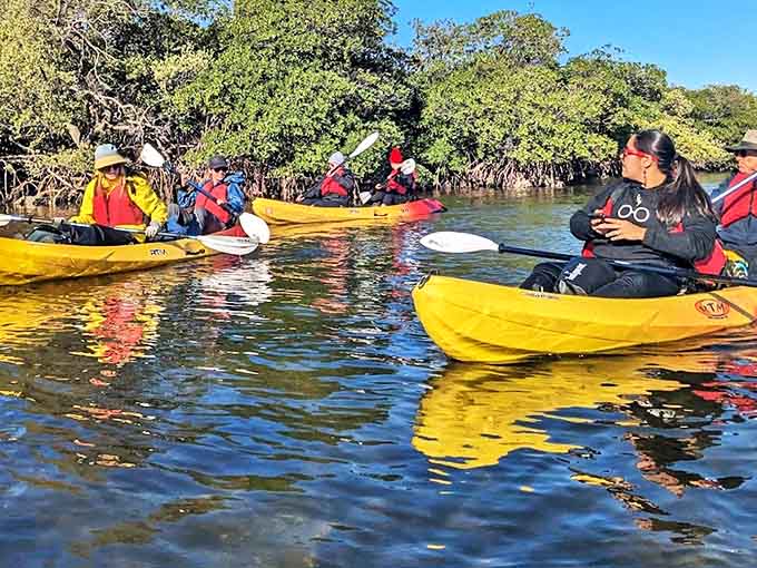 Kayakers explore the estuary's liquid maze, where every paddle stroke reveals another page of Florida's natural story.