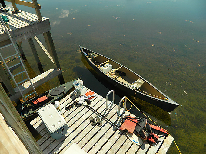 The bird's-eye perspective reveals camping equipment scattered like colorful confetti on nature's wooden stage.