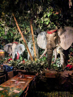 The Whole Family Will Love A Trip To The Rainforest Cafe, A Rainforest ...