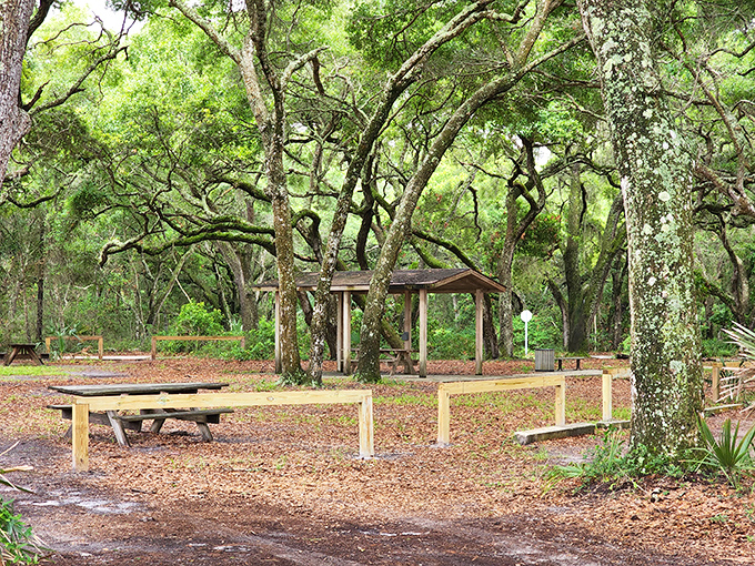 The shaded picnic area offers a peaceful respite after beach explorations, with moss-draped oaks creating nature's dining canopy.