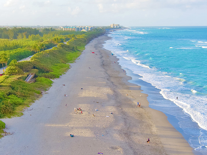 Jupiter's coastline stretches invitingly into the distance, promising miles of exploration for curious canines and their humans.