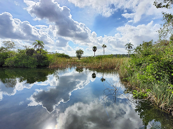 Florida's liquid mirror: where perfect reflections create the optical illusion that clouds are floating both above and below the horizon line.