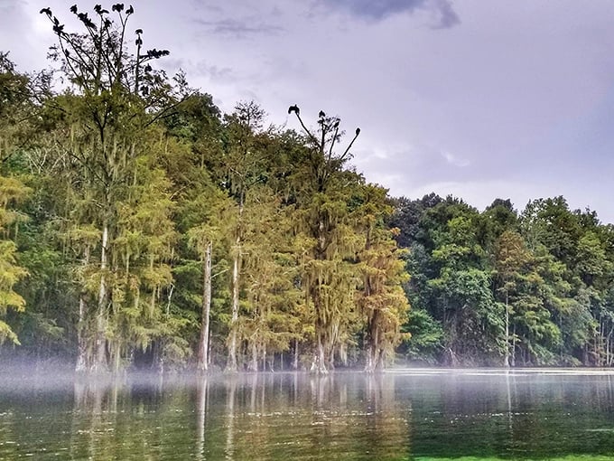 Morning mist hovers over the water like nature's special effect, creating an ethereal landscape that photographers chase but rarely capture perfectly.