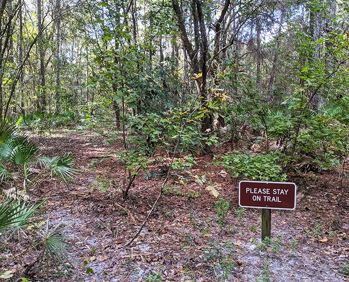 Wilderness with boundaries: Thoughtful signage helps preserve this delicate ecosystem while still allowing visitors to experience its natural beauty up close.