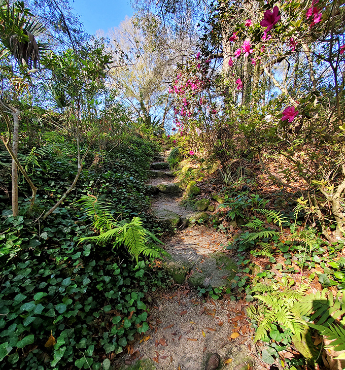 A winding path through lush vegetation leads visitors through a botanical prelude before the main aquatic attraction reveals itself.