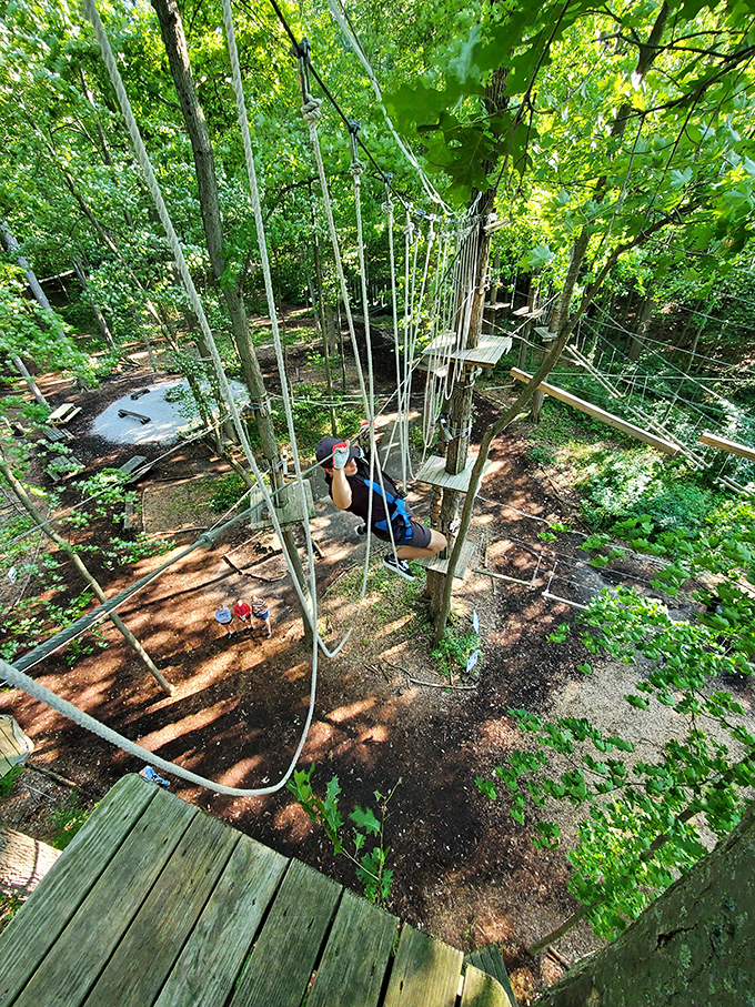 A bird's-eye perspective reveals the intricate web of challenges below, making you appreciate both human engineering and sturdy tree growth.