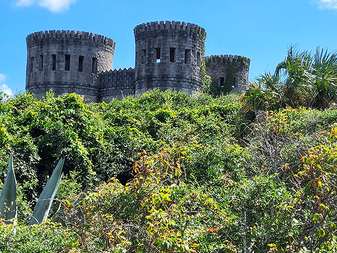 Castle towers peek through lush Florida vegetation, creating a fairytale vision that seems delightfully out of place yet perfectly at home.