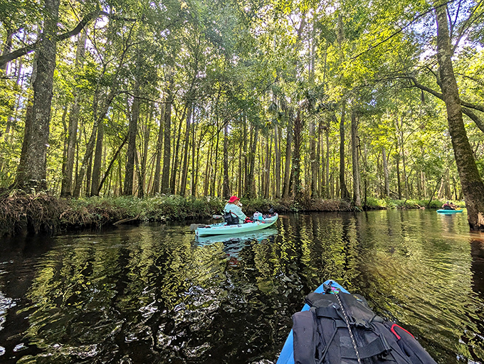 Paddlers discover that the best social media feed isn't on your phone, it's the live-action nature show unfolding around every bend.