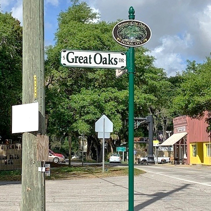 Street signs become unnecessary landmarks when you're on Great Oaks Drive&mdash;just follow the natural cathedral to find your way.