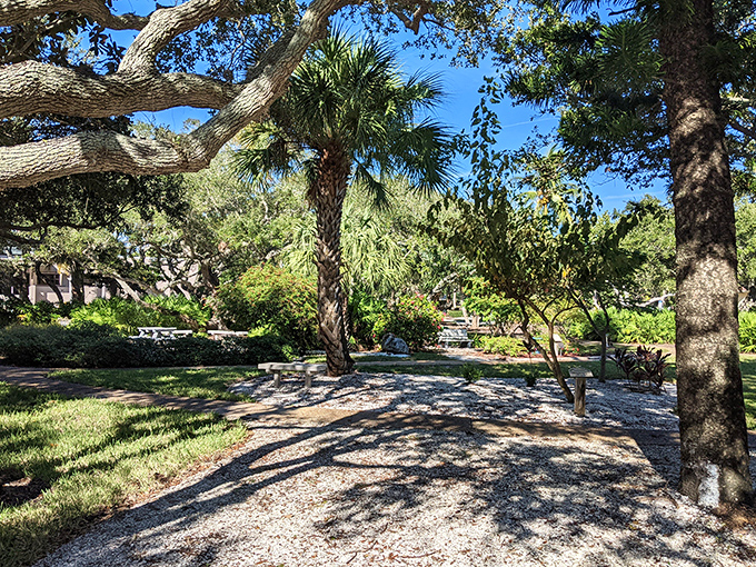 Bicentennial Park's dappled shade and winding paths create natural galleries where sunlight paints masterpieces through the leaves.