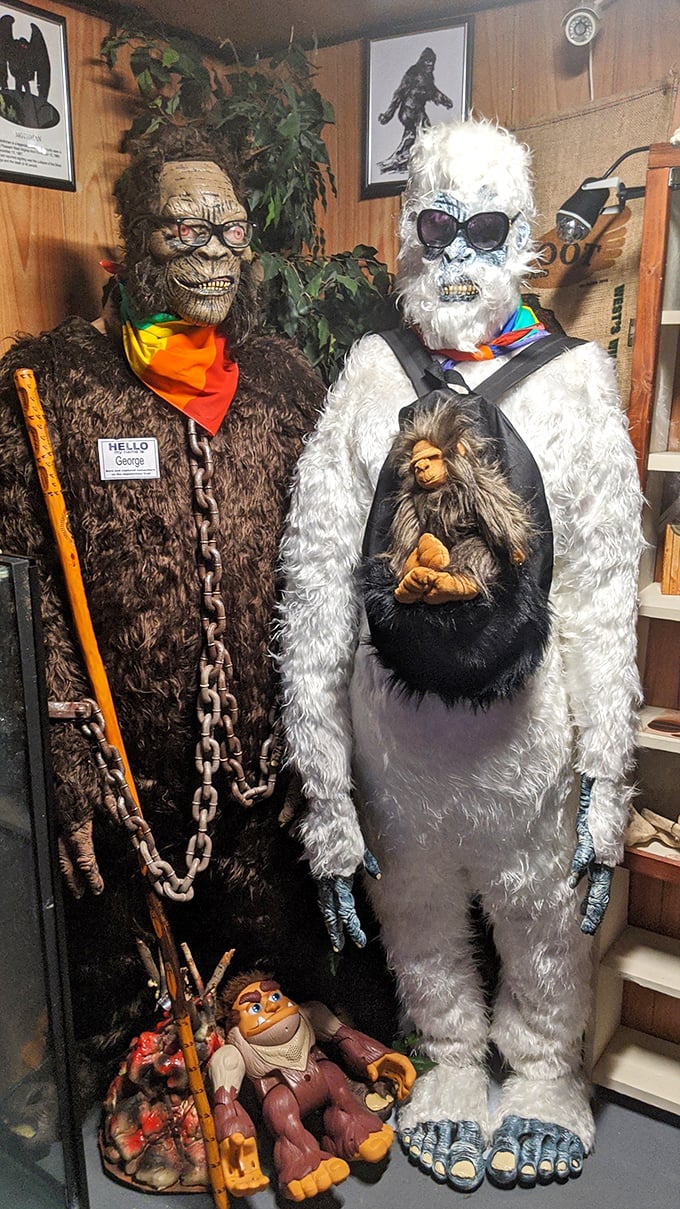 Bigfoot and the Abominable Snowman enjoying their Florida retirement. Even cryptids need vacation homes, though their fashion choices suggest they've fully embraced the eccentric Florida lifestyle.